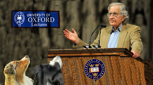 Father of Modern Linguistics and Opulence vs Democracy: Noam Chomsky ...