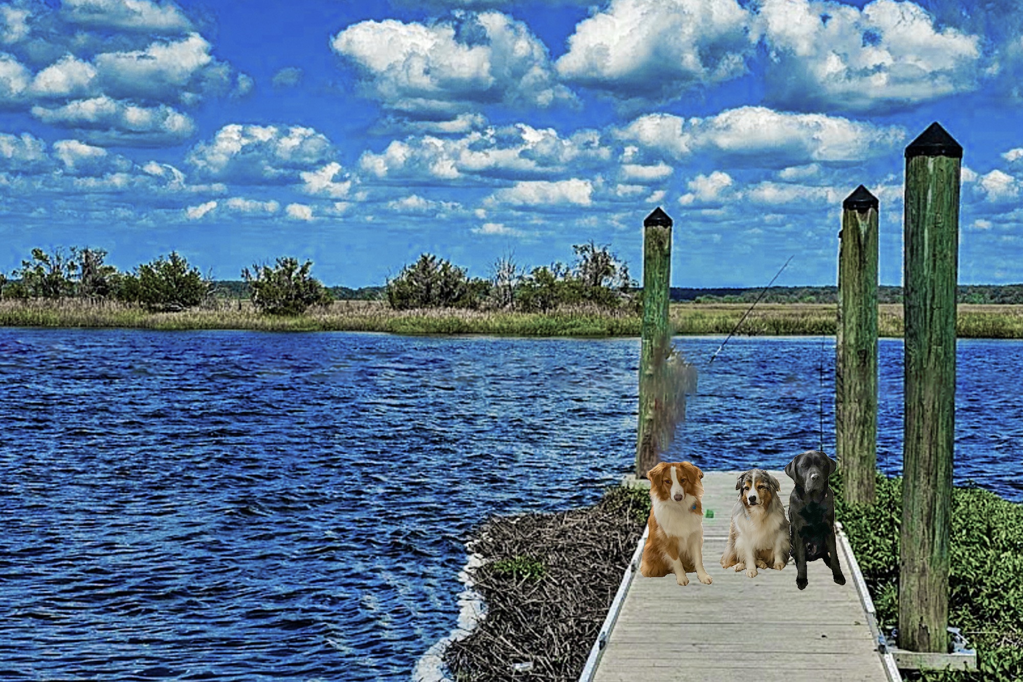 Harriet Tubman and the Combahee Raid of June 2, 1863 – Near Shore Radio